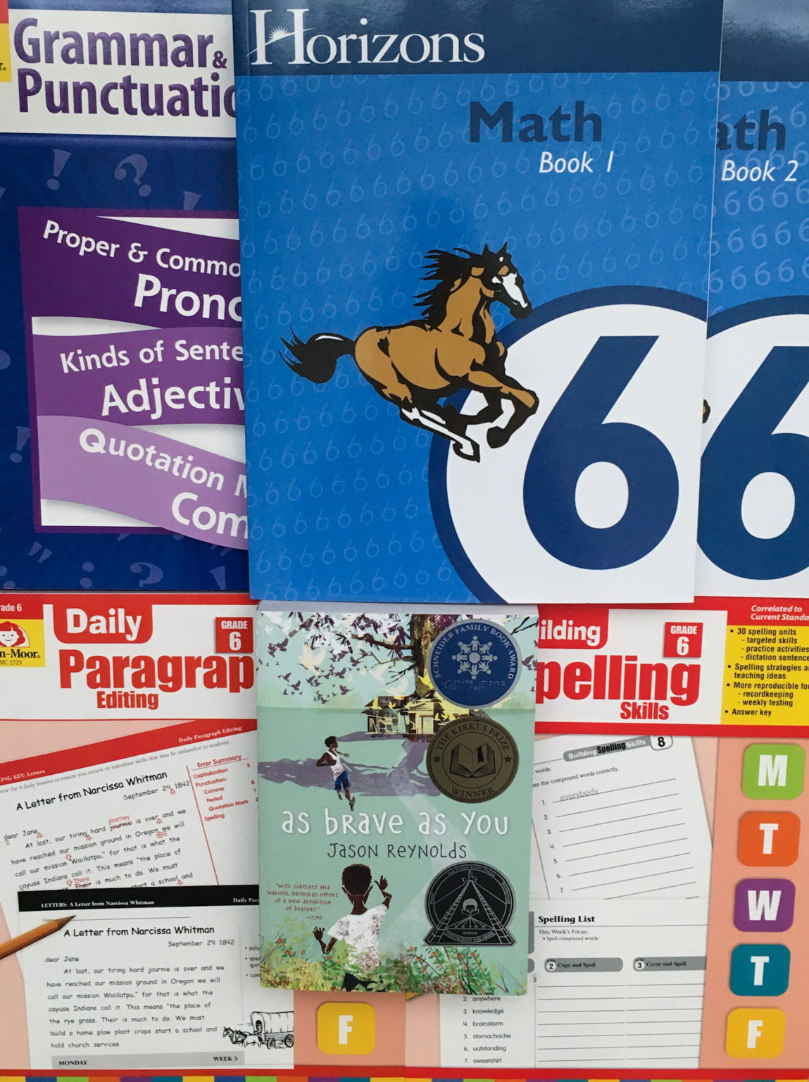 6th Grade Homeschool Curriculum Choices for 2020-2021